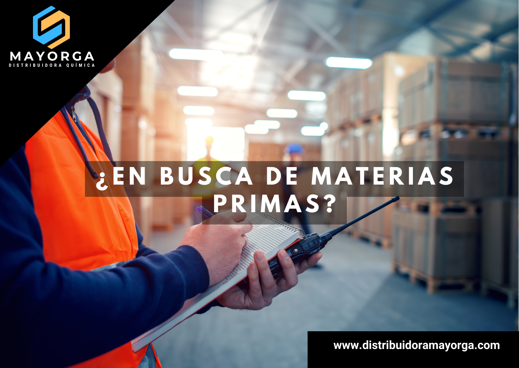Blog Posts | Distribuidora Mayorga